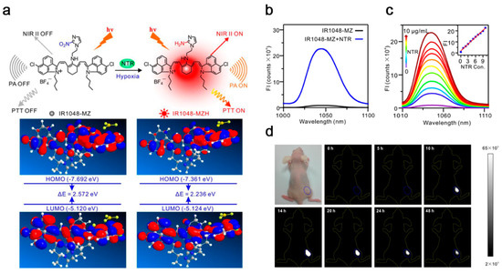Activatable Second Near-Infrared Fluorescent Probes: A New Accurate ...