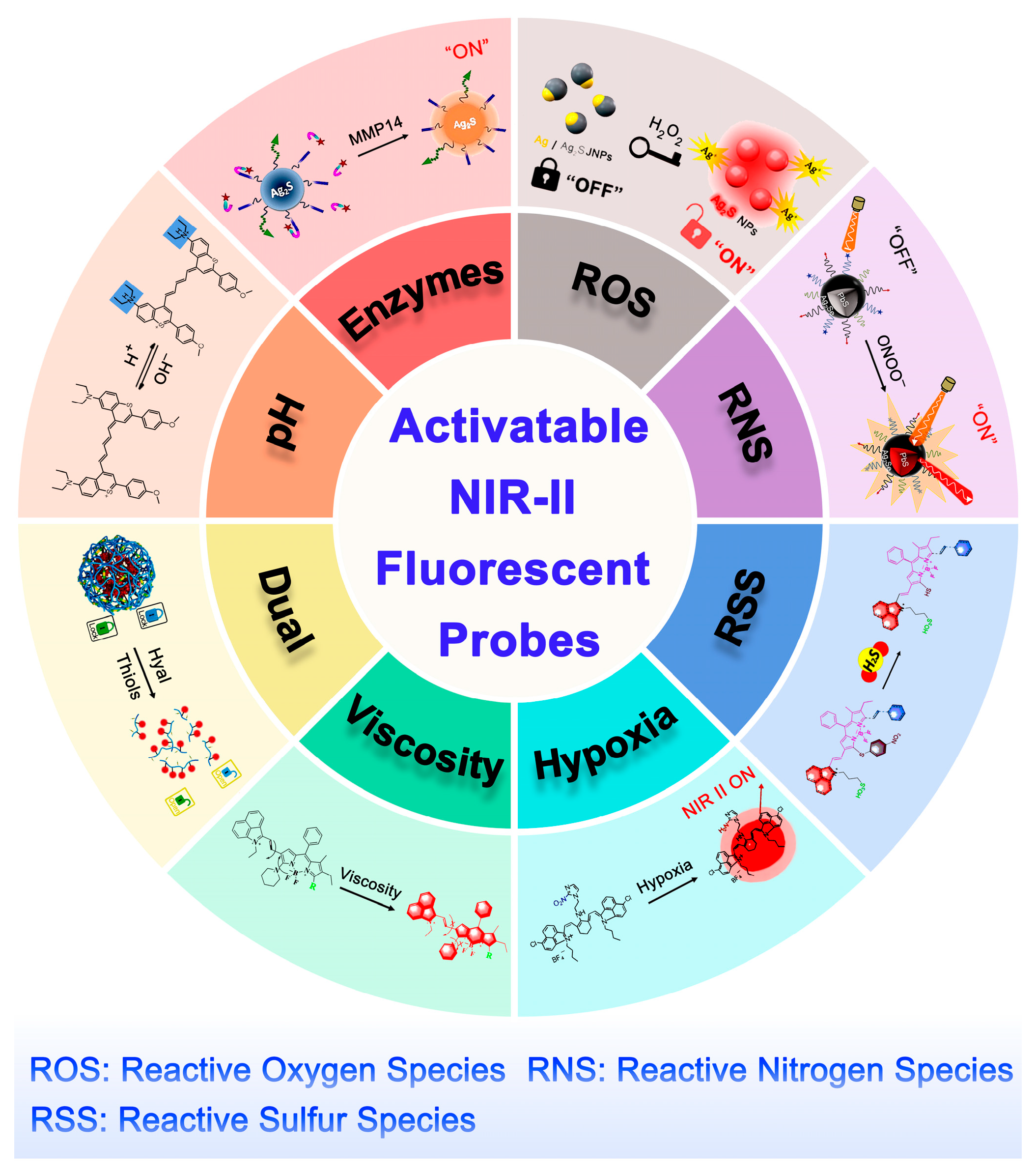 Activatable Second Near-Infrared Fluorescent Probes: A New Accurate Diagnosis Strategy for Diseases