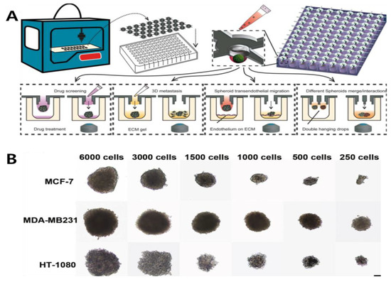 Recent Advances in Multicellular Tumor Spheroid Generation for Drug ...