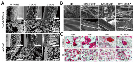 Recent Advances in Multicellular Tumor Spheroid Generation for Drug ...