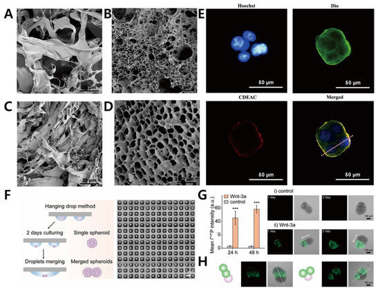 Recent Advances in Multicellular Tumor Spheroid Generation for Drug ...