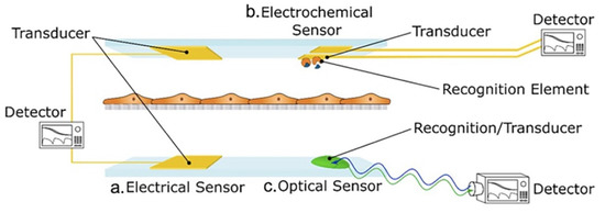 Microfluidic-Chip-Integrated Biosensors for Lung Disease Models