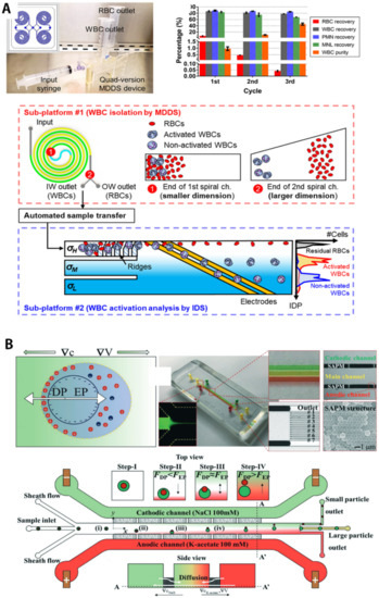 Progress of Microfluidic Continuous Separation Techniques for Micro ...