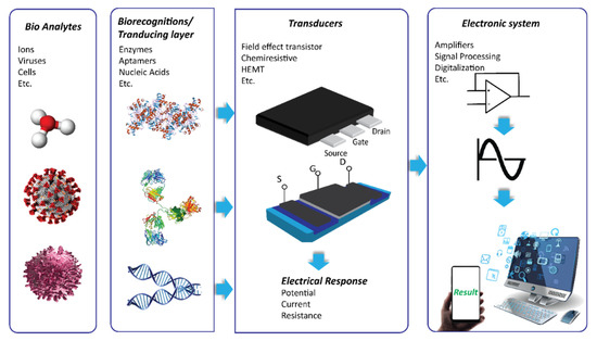 Biosensors | Free Full-Text | Ten Years Progress of Electrical ...