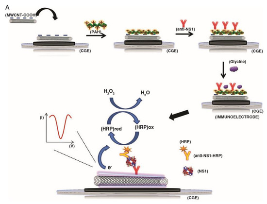 Carbon Nanotube (CNT)-Based Biosensors