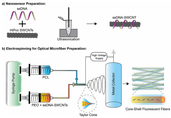 Carbon Nanotube (CNT)-Based Biosensors
