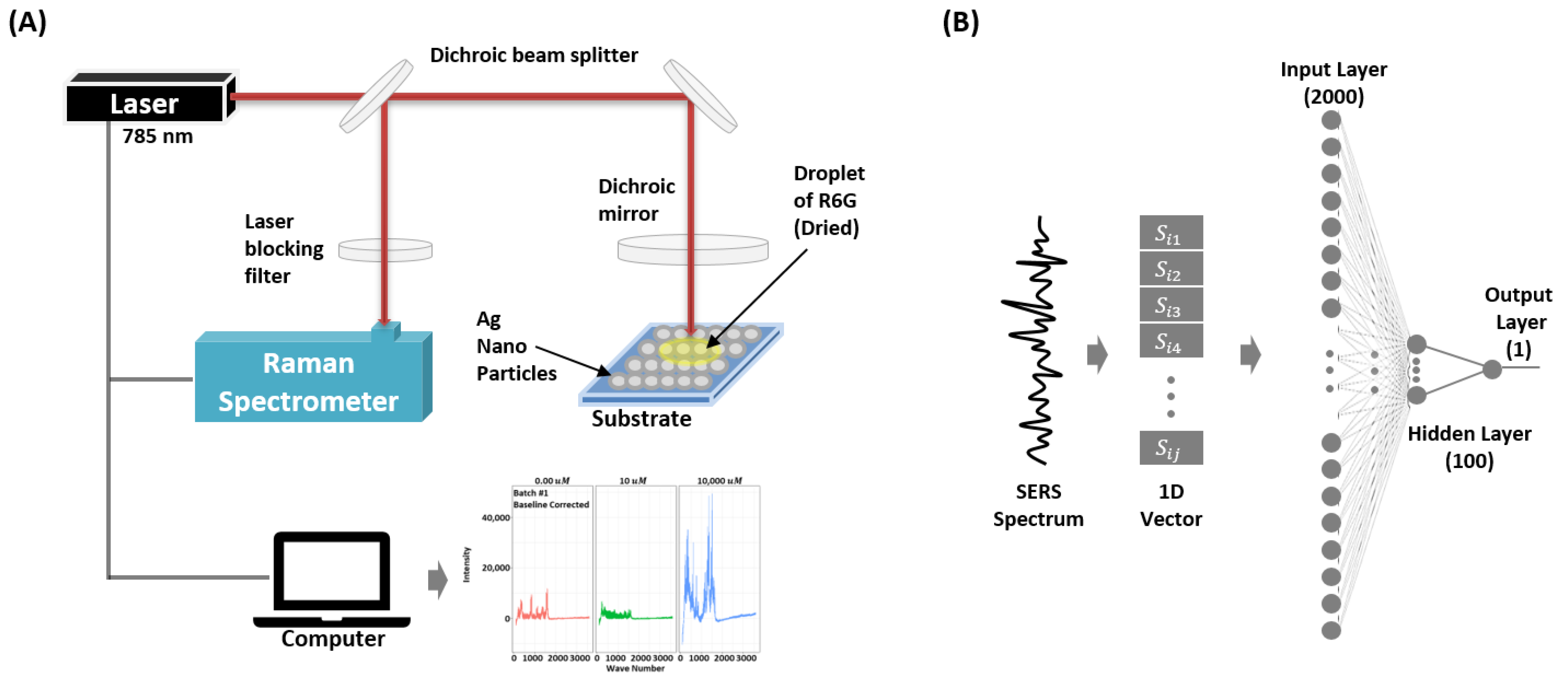 Biosensors Free Full Text Sersnet Surface Enhanced Raman