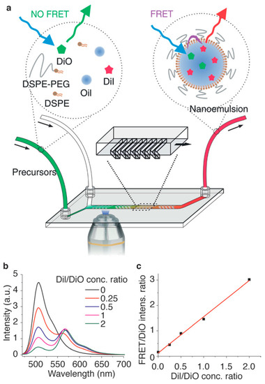 FRET Ratiometric Nanoprobes for Nanoparticle Monitoring