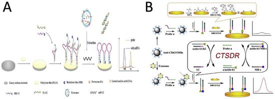 Exosomes as Powerful Engines in Cancer: Isolation, Characterization and ...