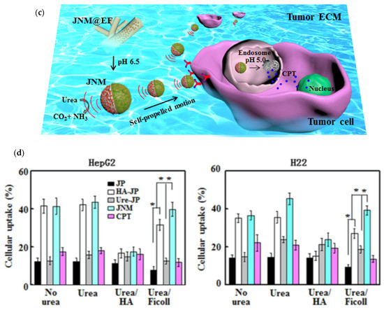 Biosensors | Special Issue : Bio–Nano-Interfaces for Engineering and ...
