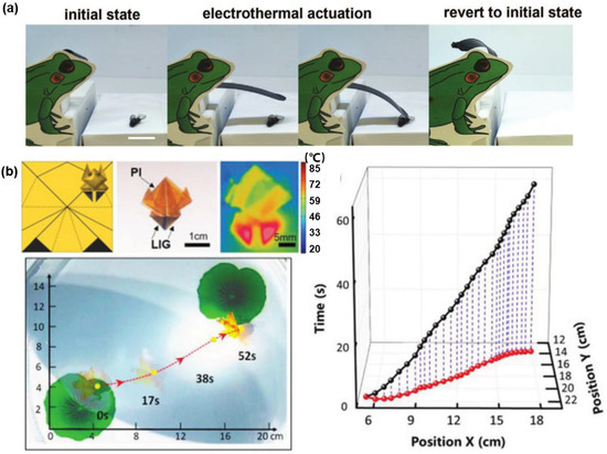 Biosensors | Free Full-Text | Laser-Induced Graphene Based Flexible ...