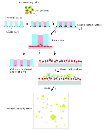 Microfluidic Compartmentalization Platforms for Single Cell Analysis