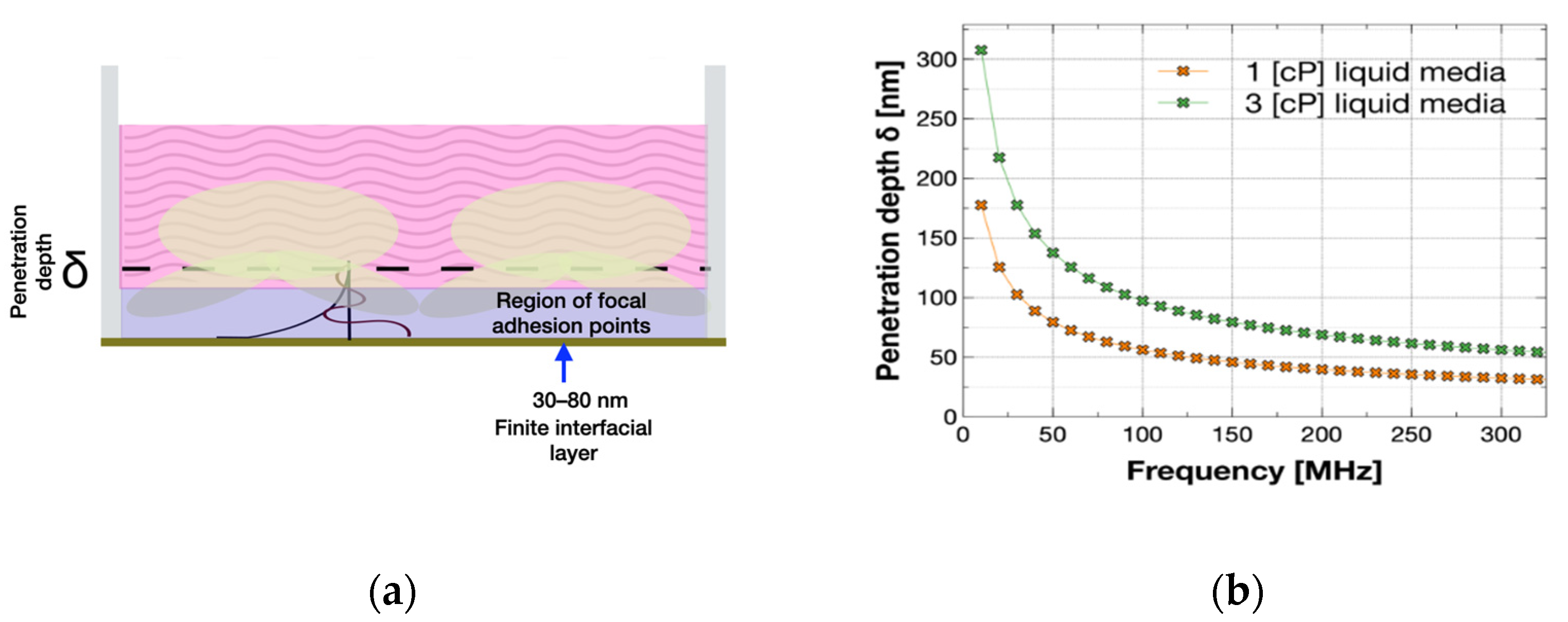 Love Wave Sensor with High Penetration Depth for Potential Application ...