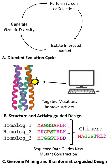 Biosensors | Free Full-Text | Strategies for Improving Small-Molecule ...