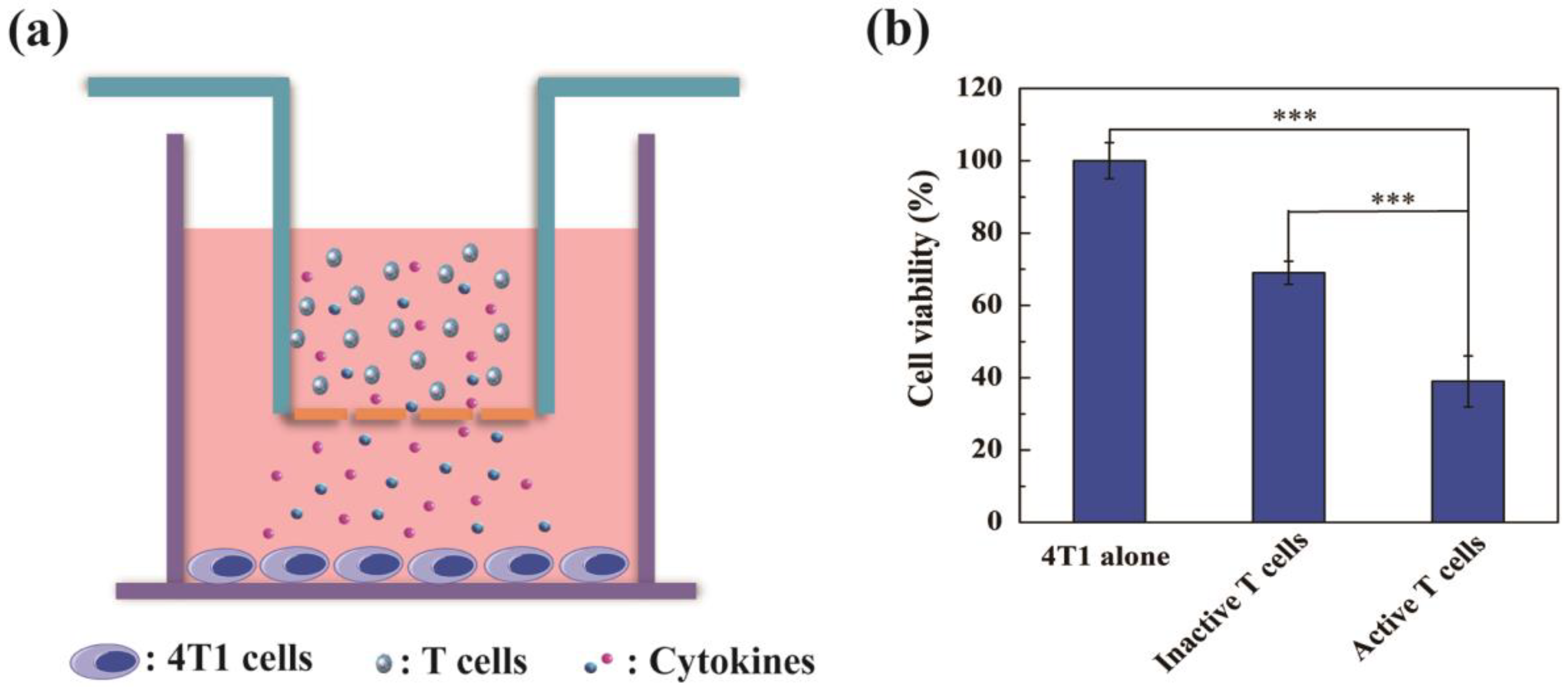 Effective CpG Delivery Using Zwitterion-Functionalized Dendrimer ...