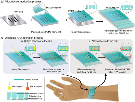Biosensors | Free Full-Text | Fabrication of Wearable PDMS Device for ...