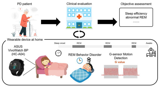 Biosensors | Free Full-Text | Quantification Analysis of Sleep Based on ...