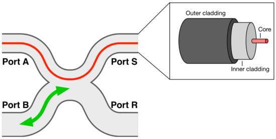 Double-Clad Fiber-Based Multifunctional Biosensors and Multimodal ...