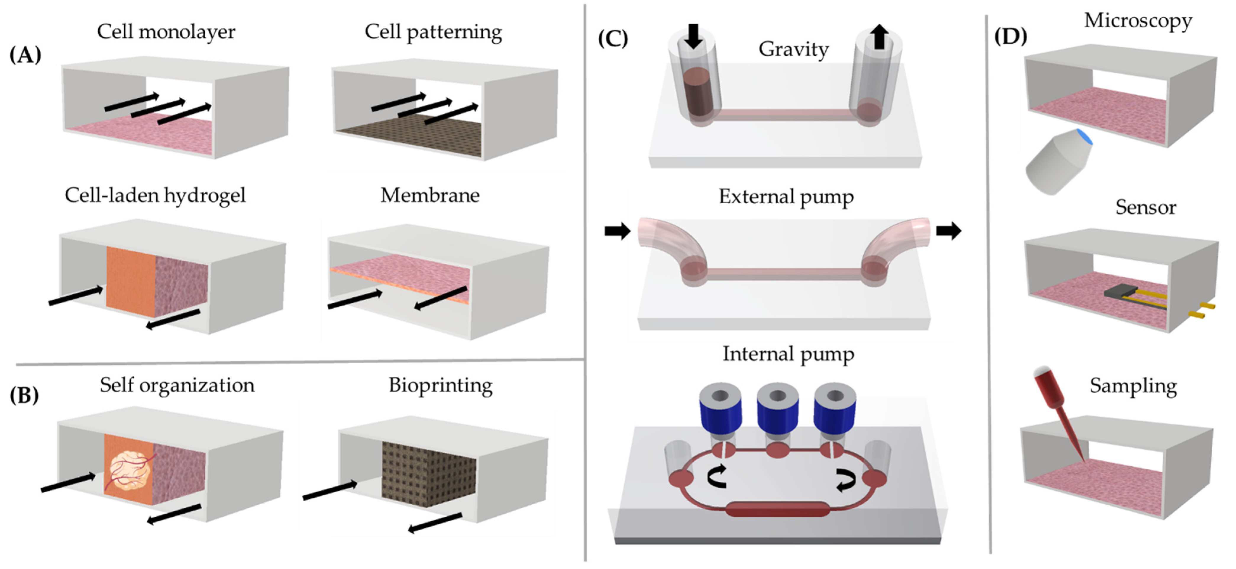 Academic User View: Organ-on-a-Chip Technology