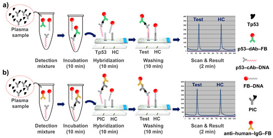Detection and Quantification of Tp53 and p53-Anti-p53 Autoantibody ...