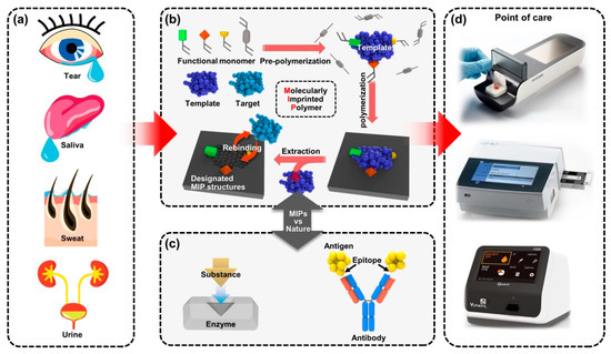 Recent Advances of Point-of-Care Devices Integrated with Molecularly ...