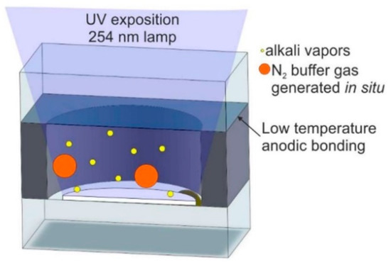 Recent Progress on Micro-Fabricated Alkali Metal Vapor Cells