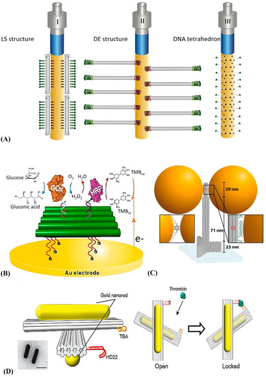 DNA-Based Biosensors for the Biochemical Analysis: A Review