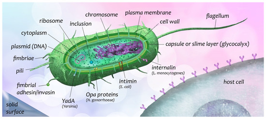 Biosensors | Free Full-Text | Review of Label-Free Monitoring of ...