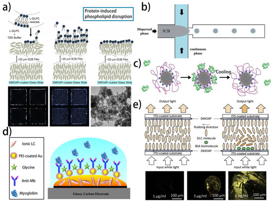 Overview of Liquid Crystal Biosensors: From Basic Theory to Advanced Applications