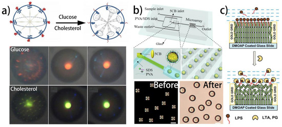 Overview of Liquid Crystal Biosensors: From Basic Theory to Advanced Applications