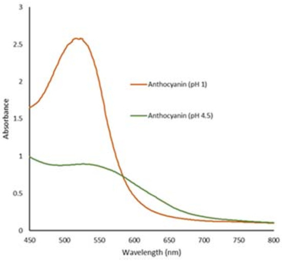 Synthesis and Physicochemical Characterization of Polymer Film-Based ...
