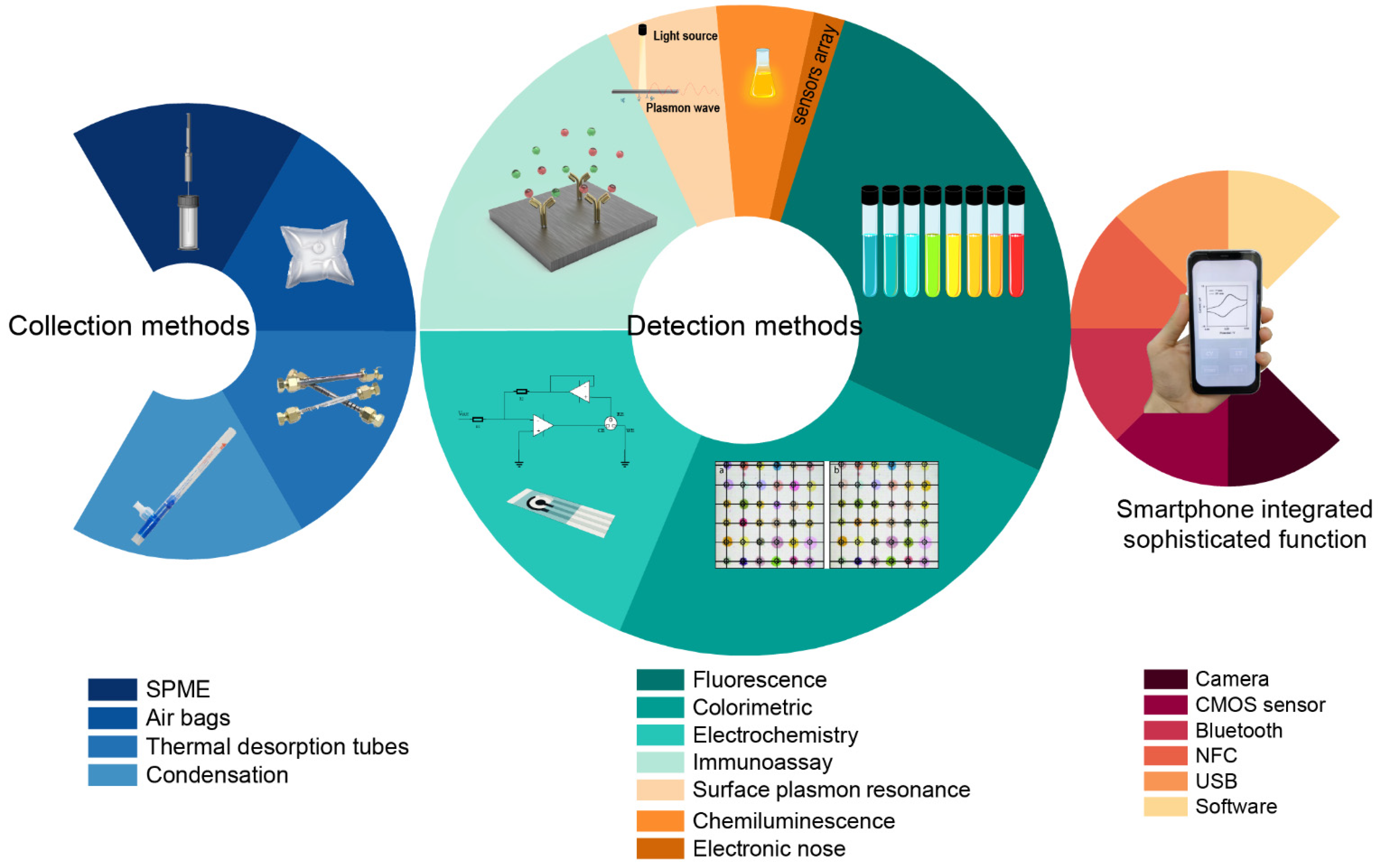 Smartphone-Based Platforms for Clinical Detections in Lung-Cancer ...