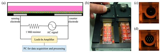 ECIS Based Electric Fence Method for Measurement of Human Keratinocyte ...
