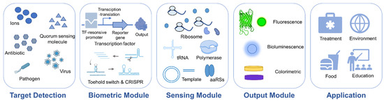 Advances, Challenges and Future Trends of Cell-Free Transcription ...
