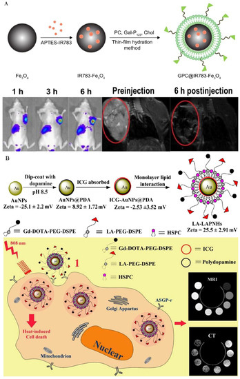 Targeted Molecular Imaging Probes Based on Magnetic Resonance Imaging ...
