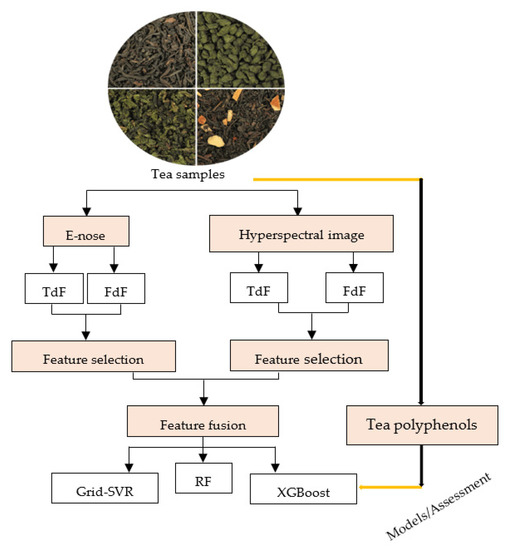 Electronic Sensor Technologies in Monitoring Quality of Tea: A Review