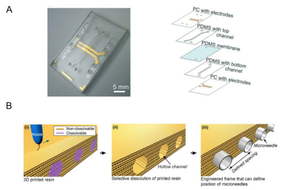 Microfluidic Organ-on-a-Chip System for Disease Modeling and Drug ...