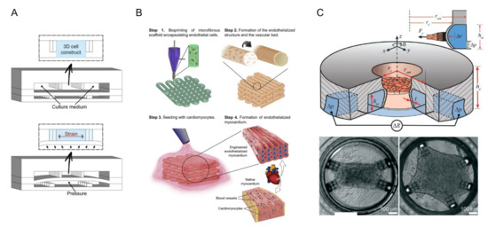 Microfluidic Organ-on-a-Chip System for Disease Modeling and Drug ...