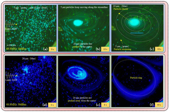 Enhanced Detection in Droplet Microfluidics by Acoustic Vortex ...