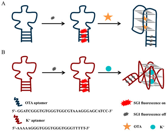 Development of Fluorescent Aptasensors Based on G-Quadruplex Quenching Ability for Ochratoxin A ...