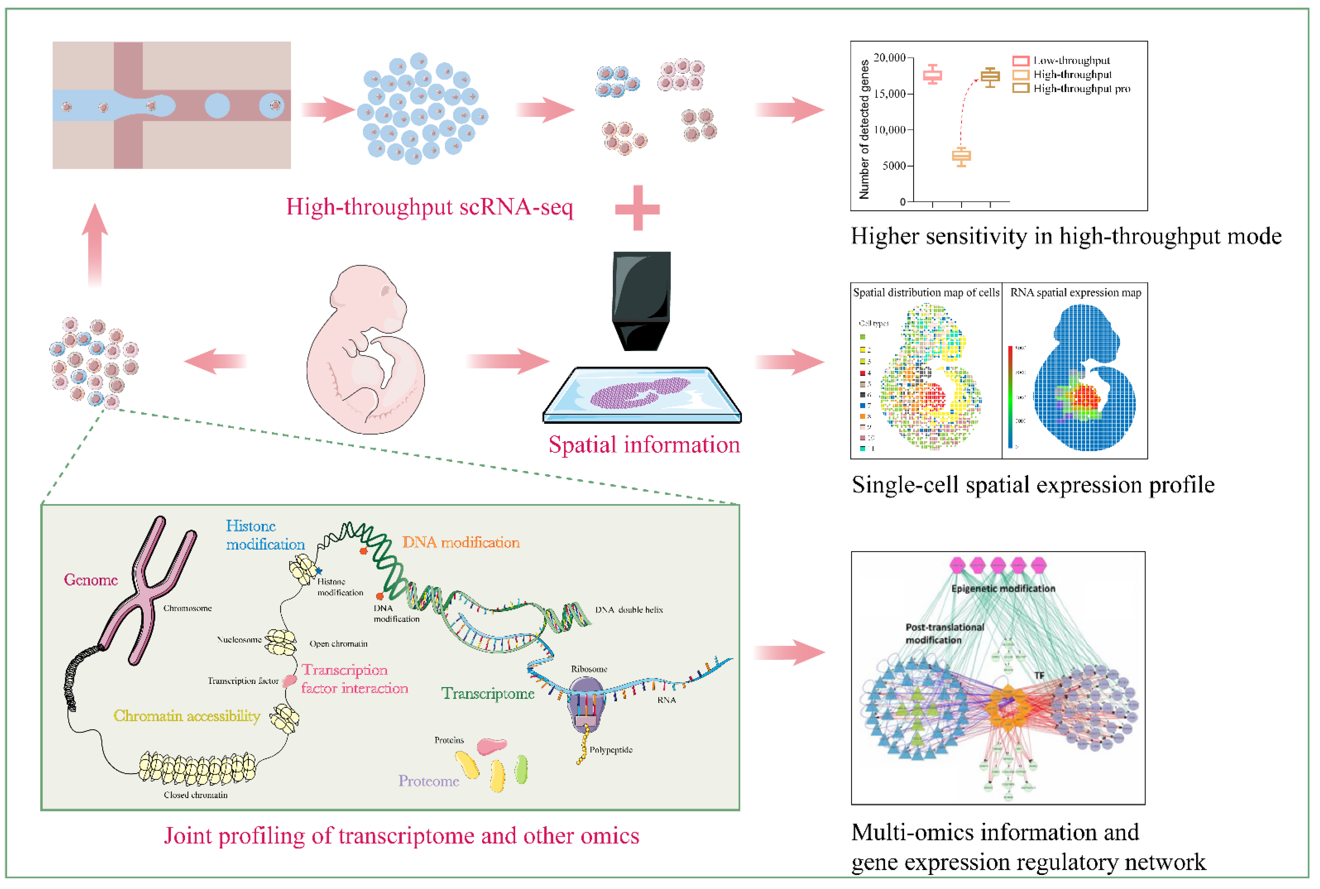 Biosensors Free Full Text Microfluidics Facilitates The Development