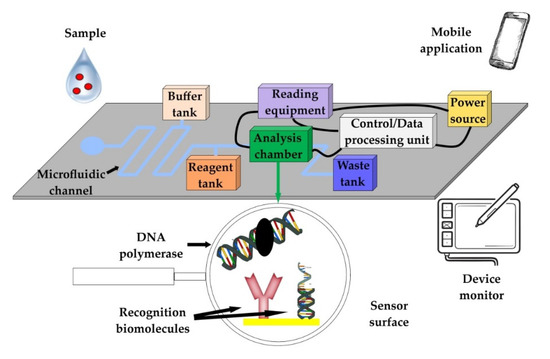 Point-of-Care Diagnostics for Farm Animal Diseases: From Biosensors to ...