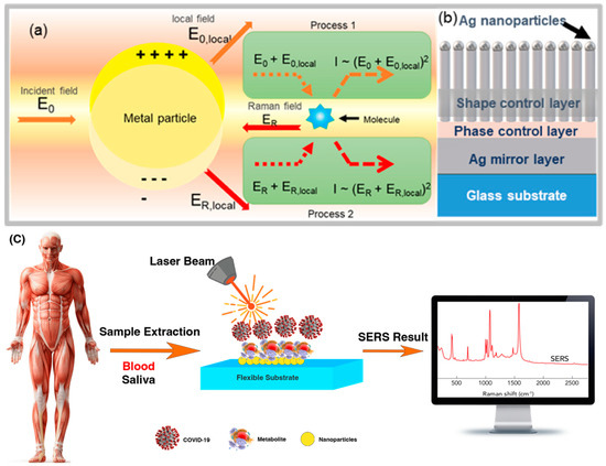 Highly Sensitive Flexible SERS-Based Sensing Platform for Detection of ...
