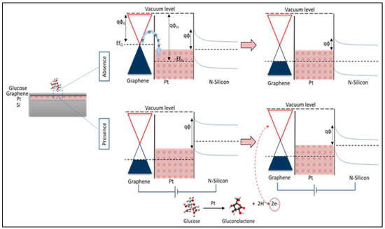 Recent Developments and Future Perspective on Electrochemical Glucose ...