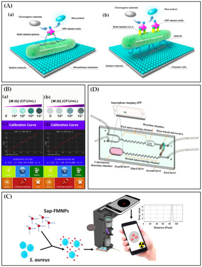 Applications of Smartphone-Based Aptasensor for Diverse Targets Detection