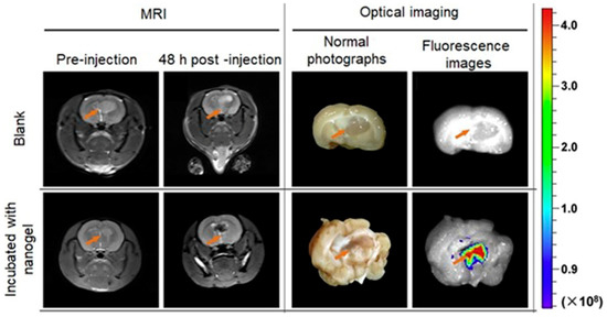 Biosensors | Special Issue : In Vivo Imaging and Sensing of Biomarkers