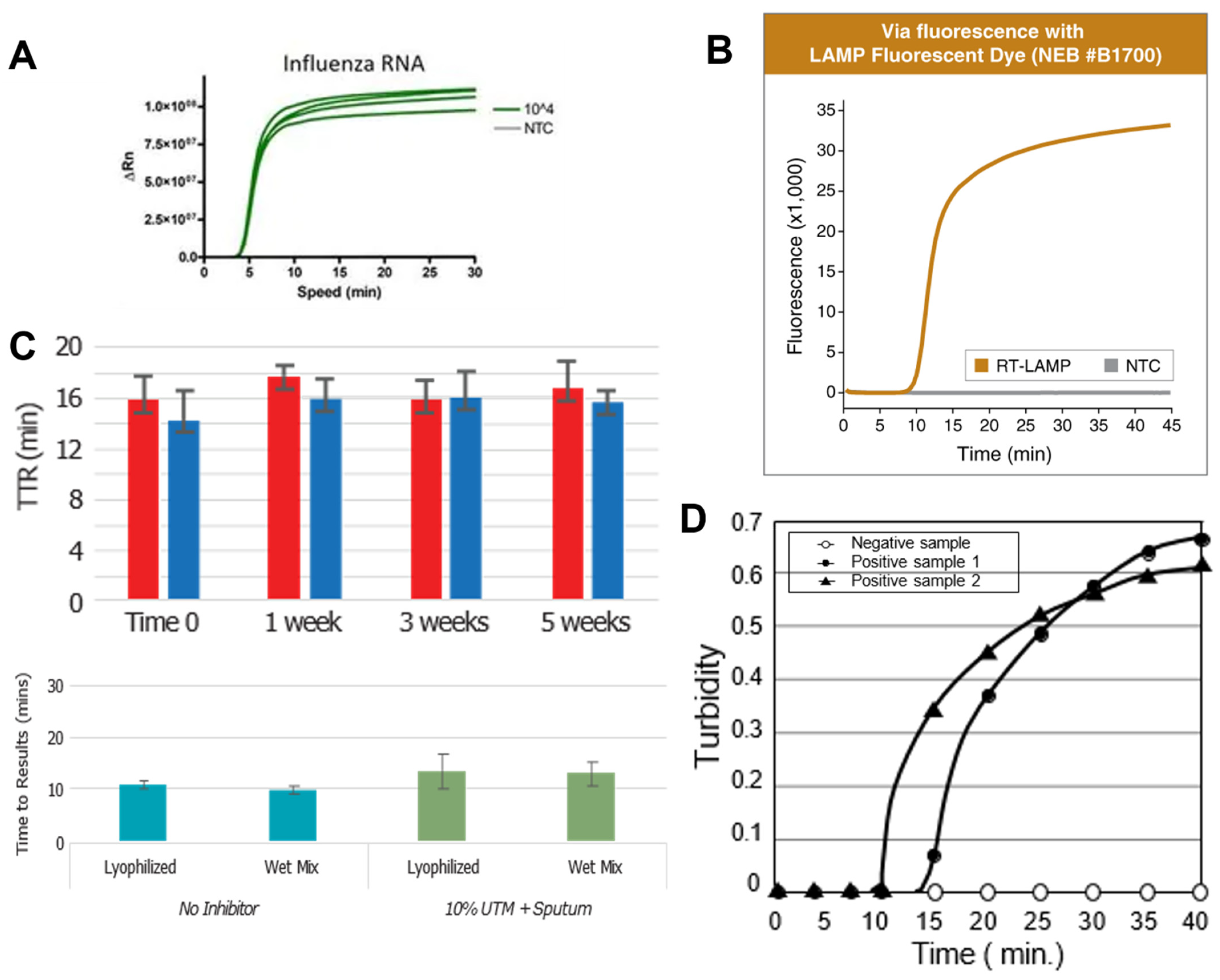 Progression of LAMP as a Result of the COVID-19 Pandemic: Is PCR ...