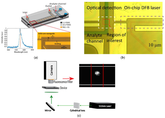 Biosensors | Free Full-Text | All-in-One Optofluidic Chip for Molecular ...