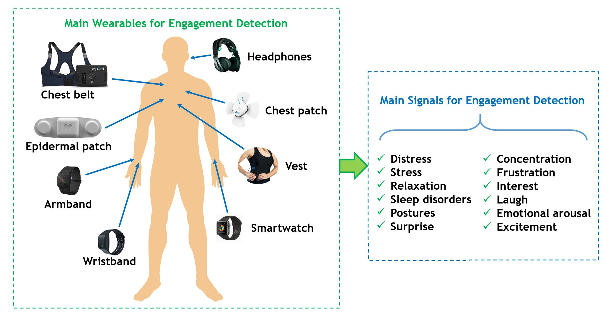 Biosensors | Free Full-Text | Wearables for Engagement Detection in ...