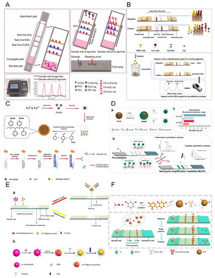 Paper-Based Fluidic Sensing Platforms for β-Adrenergic Agonist Residue ...